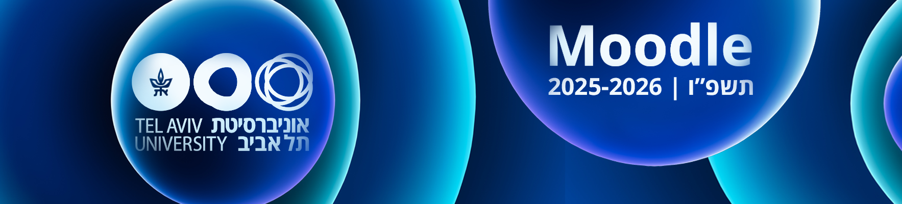 הקורסים שלי | אוניברסיטת תל אביב - למידה אקדמית ברשת